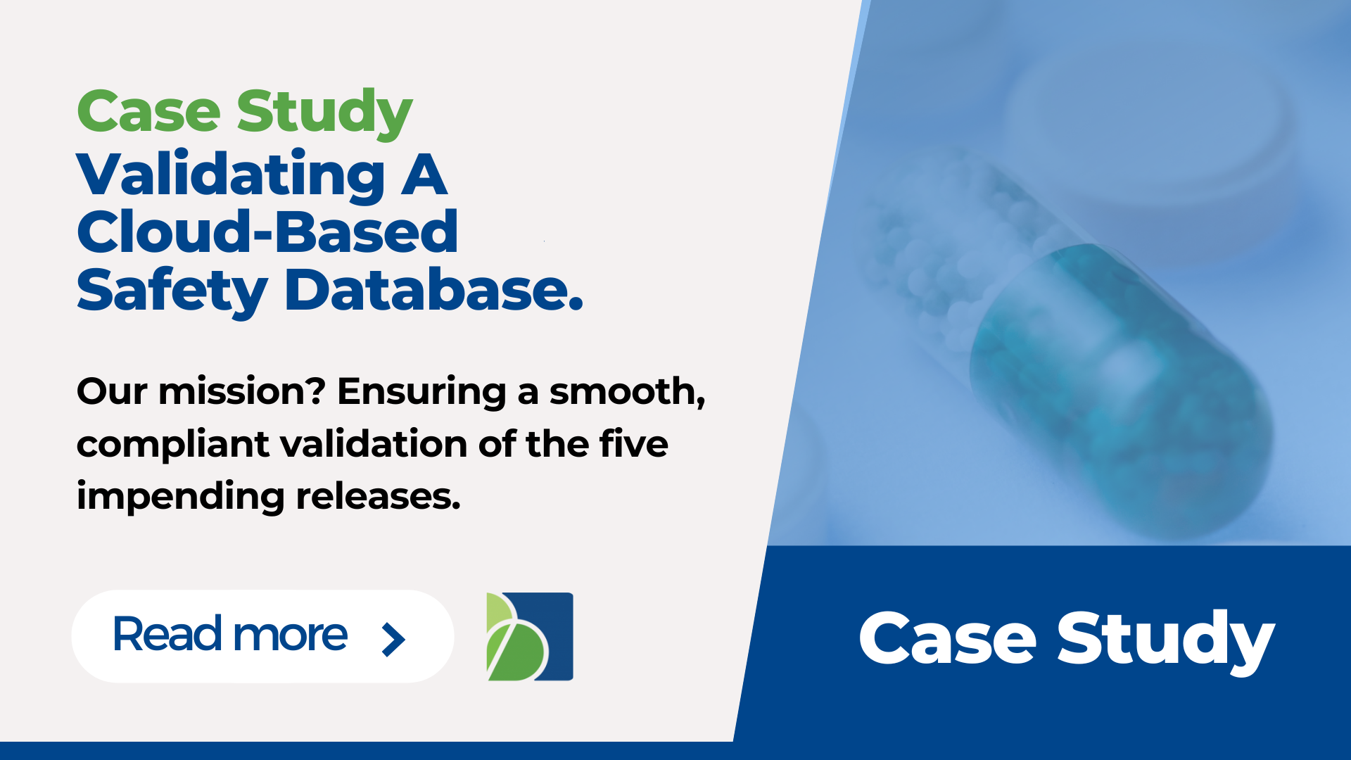 CSV For A Cloud-Based Safety Database - Biomapas Case Study